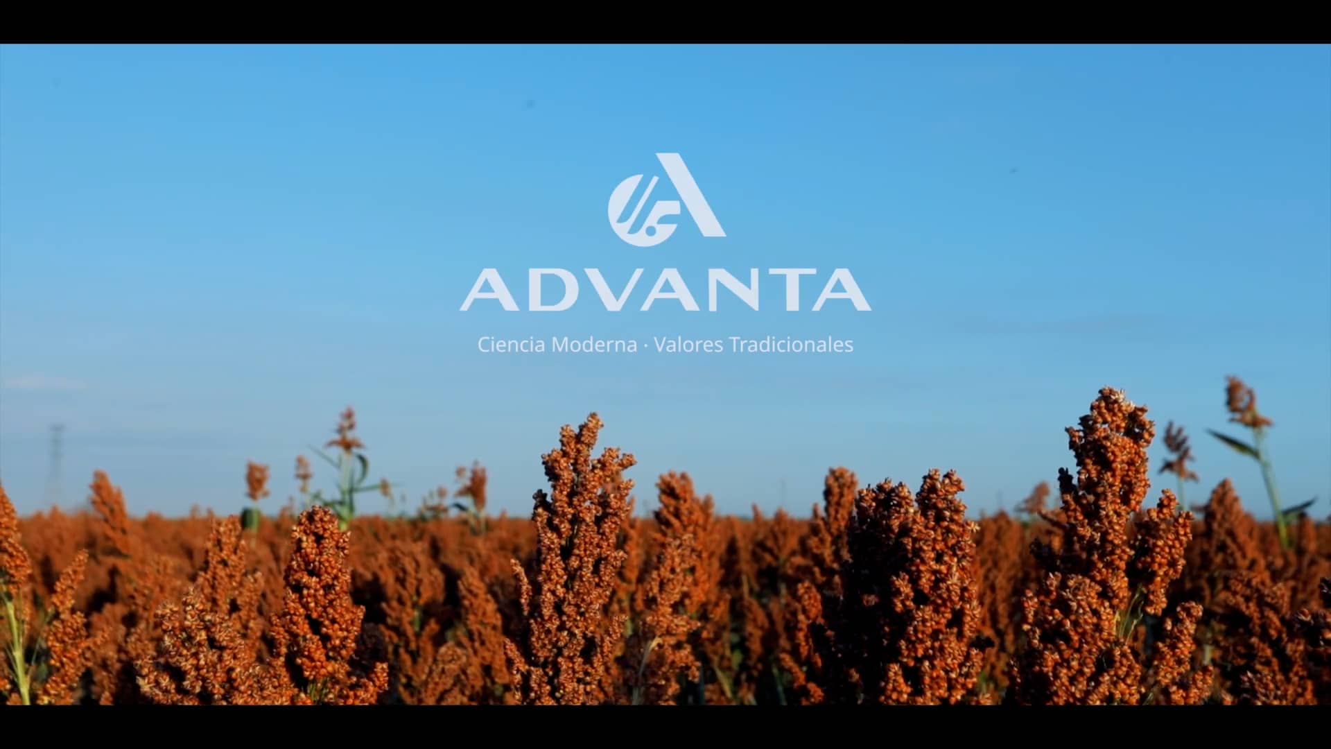 Advanta Seeds Institucional on Vimeo