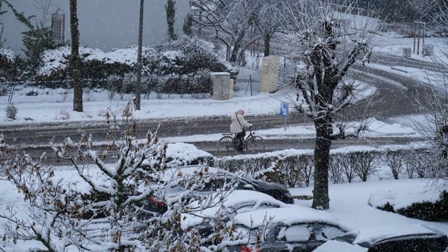 Snow Blizzard Videos: Download 83+ Free 4K & HD Stock Footage Clips ...