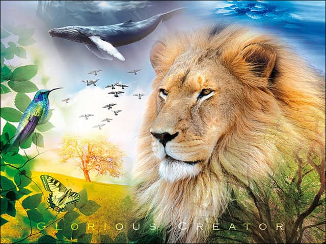 Ontdek de liefde en grootheid van God on Vimeo