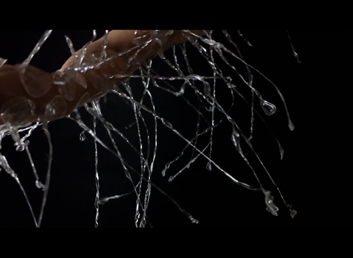 The Plastic Parasite on Vimeo