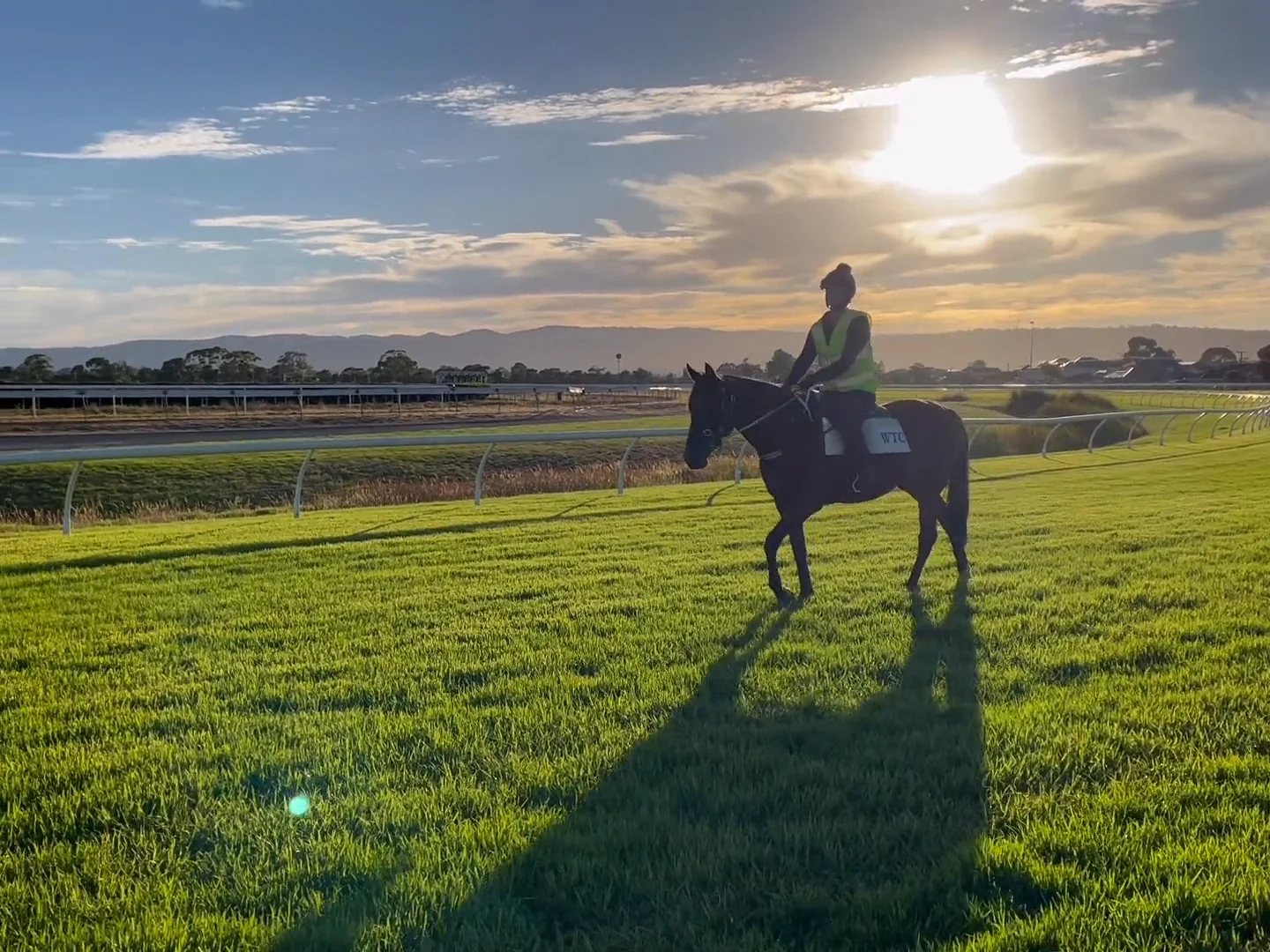 Akeed Mofeed - Tidy Prophet filly on Vimeo