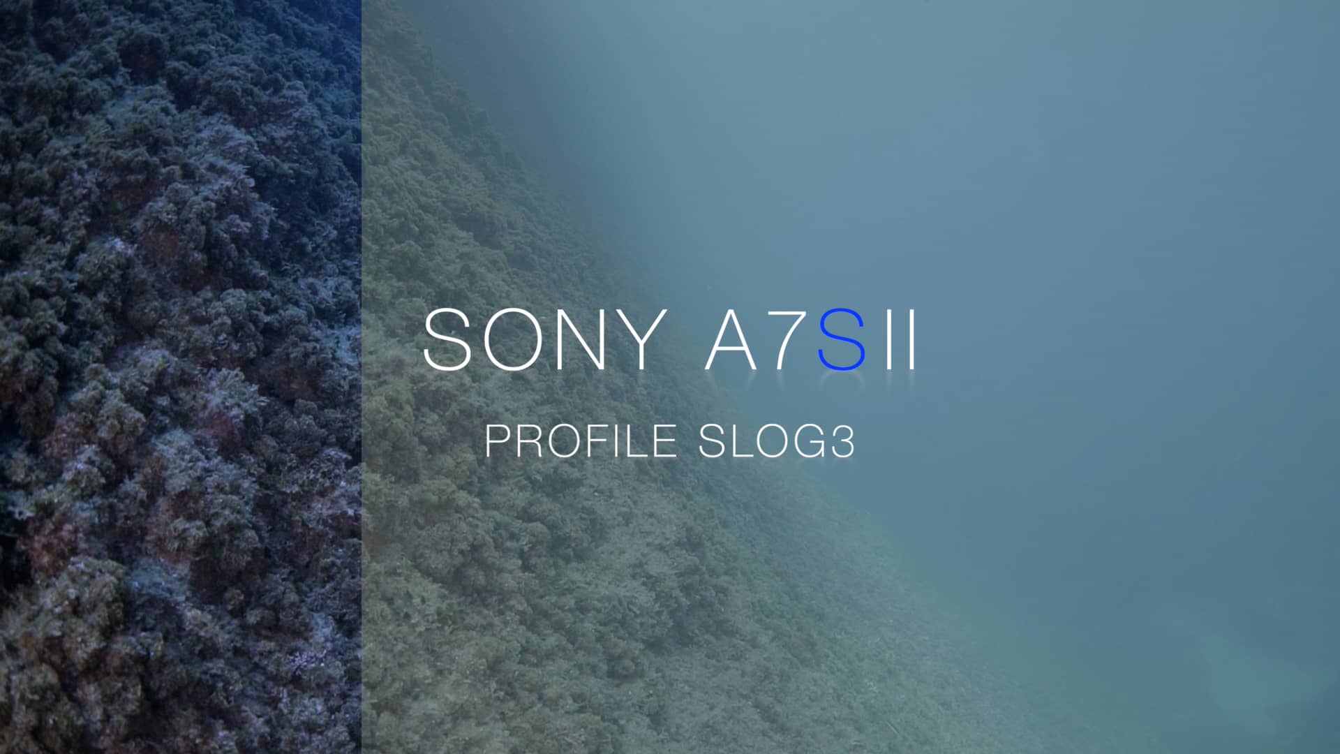 SONY SLOG3.m4v on Vimeo