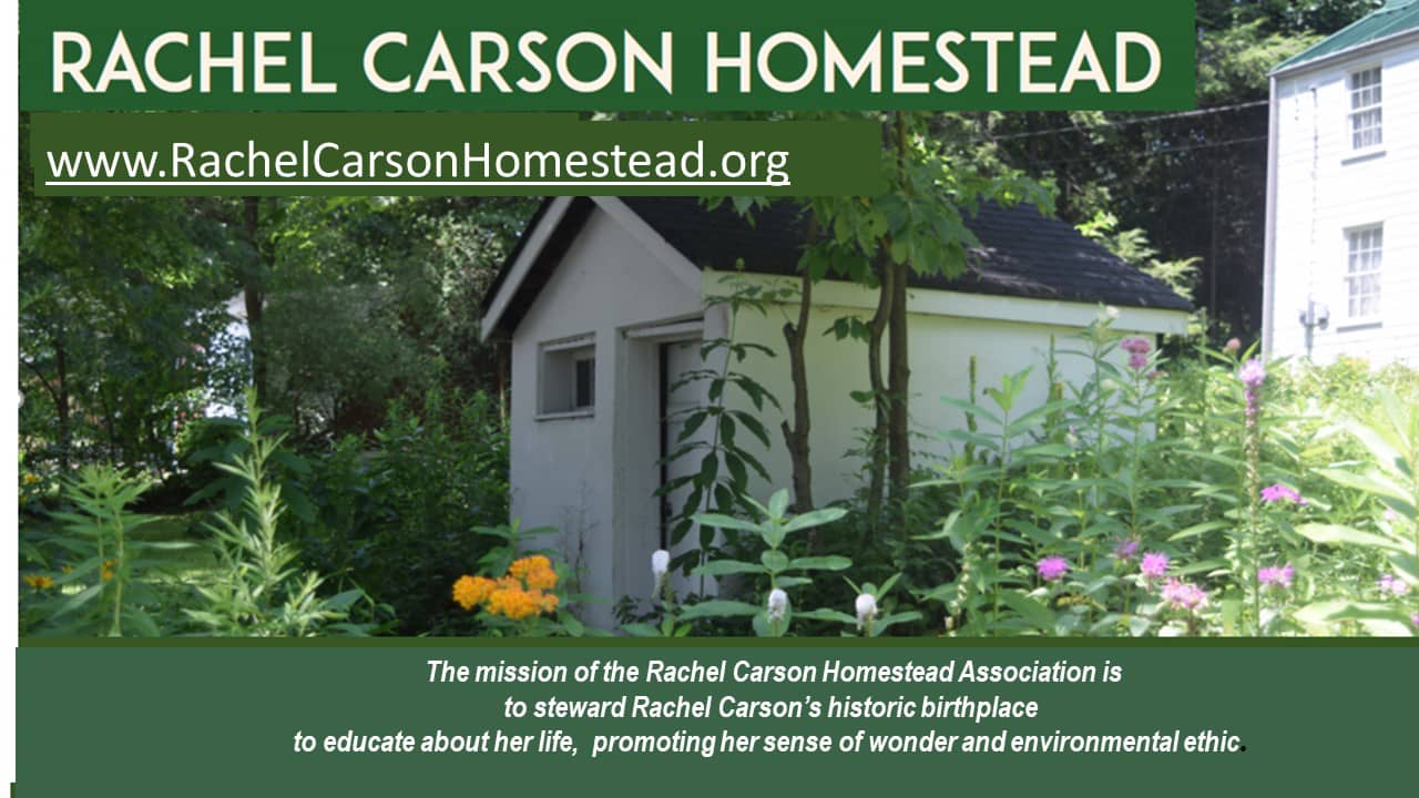 Visit Rachel Carson's Cottage on Vimeo