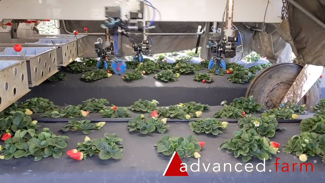 advanced.farm: Jan 2022 (uncut!) on Vimeo