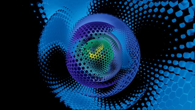 Wasp Bee Geometry - Free video on Pixabay