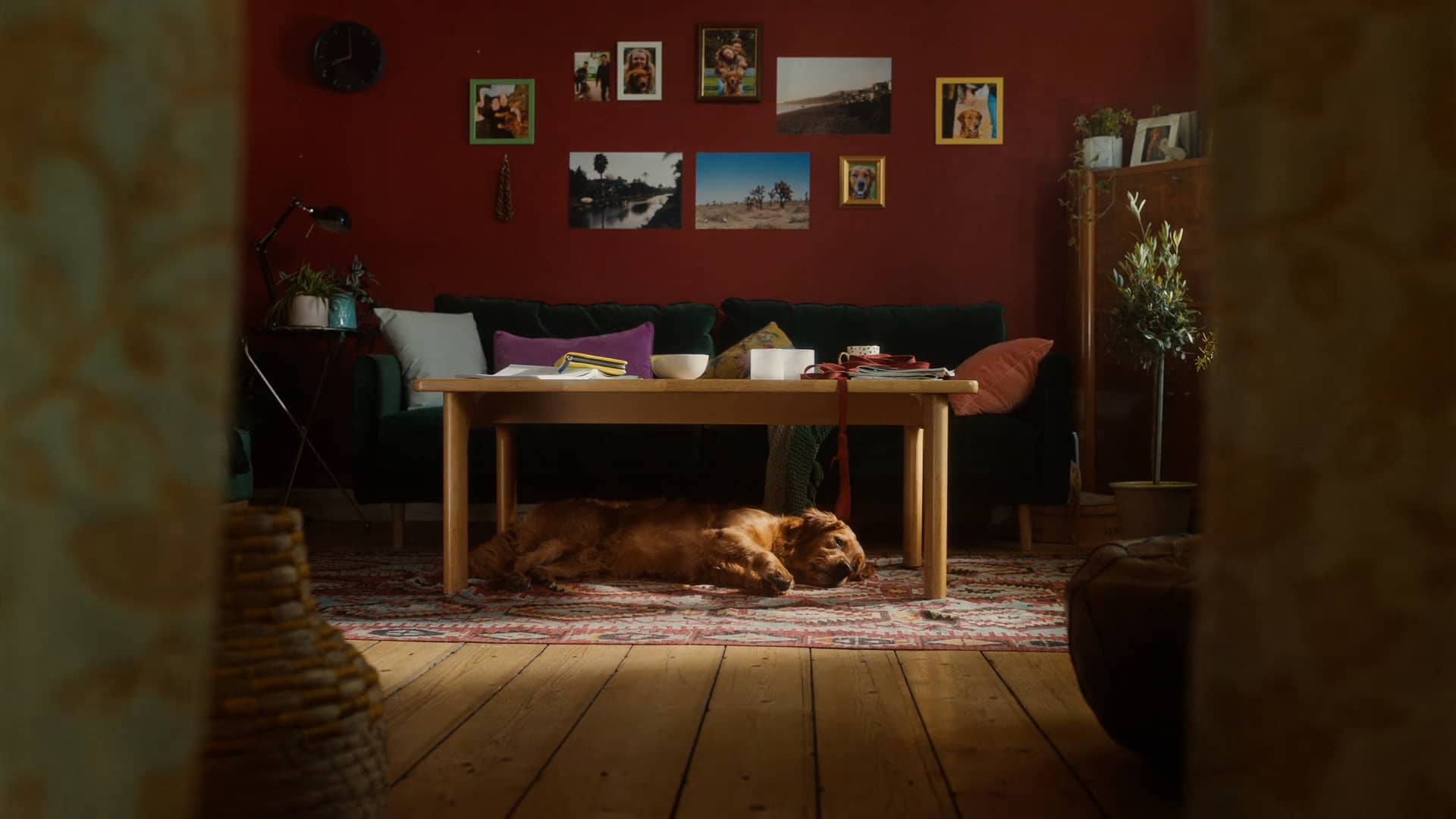 Lotto Otto on Vimeo
