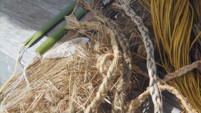 Mussel ropes — Science Learning Hub