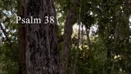 Psalm 38 39 Spoken Out Loud On Vimeo