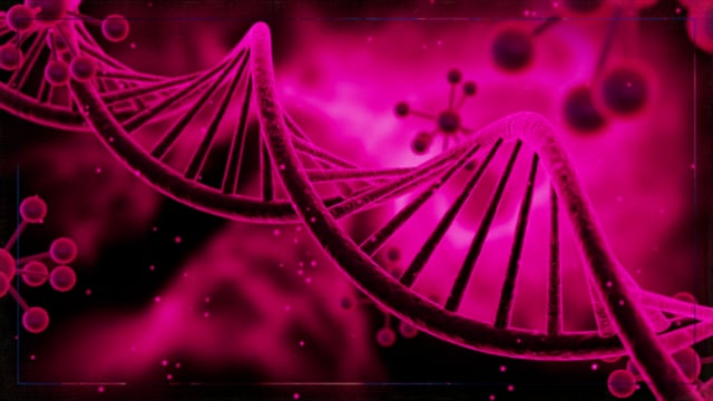 Sermon Series: DNA - Church Visuals