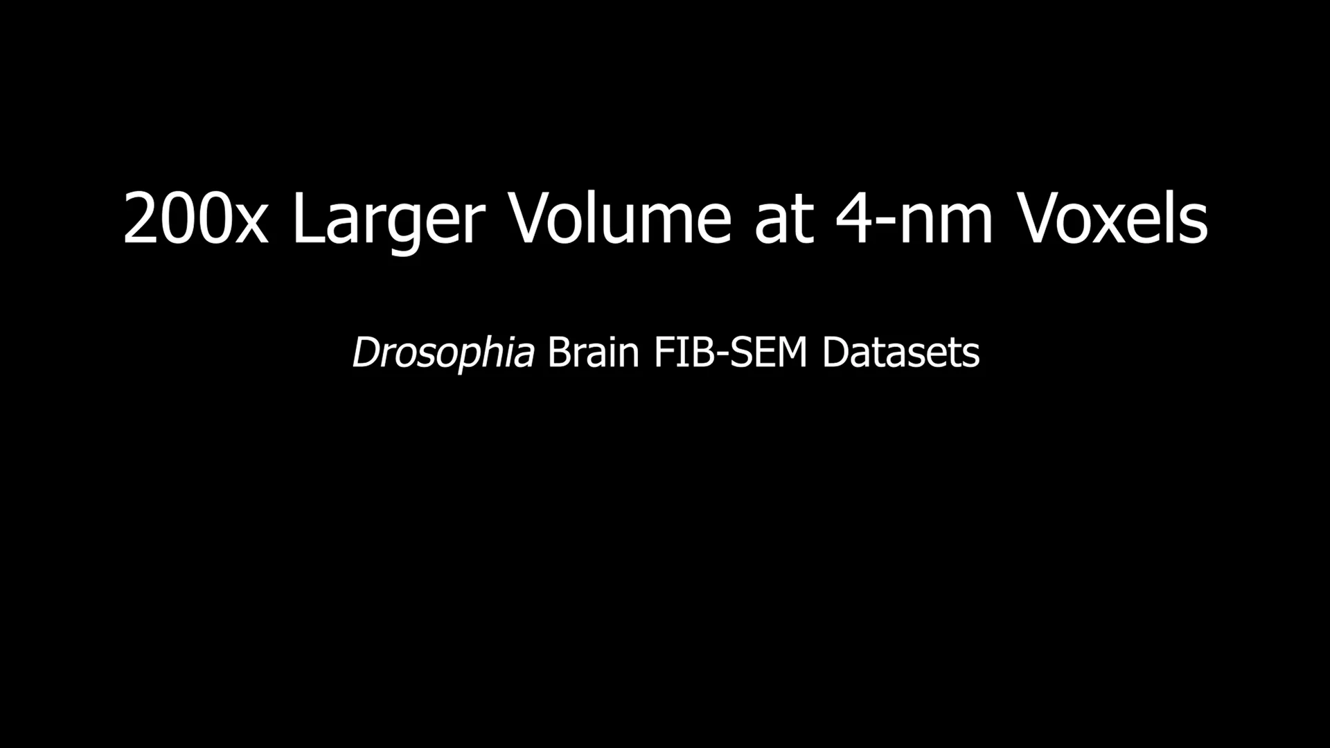 200x_larger_fib-sem_volume_at_4-nm_voxels (1080p)