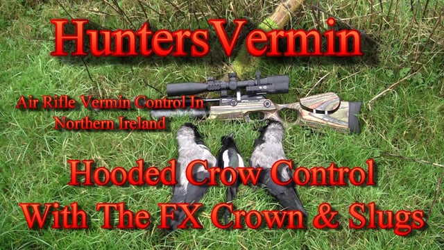 Air Rifle Hunting, Hooded Crow Control With The FX Crown And Slugs ...