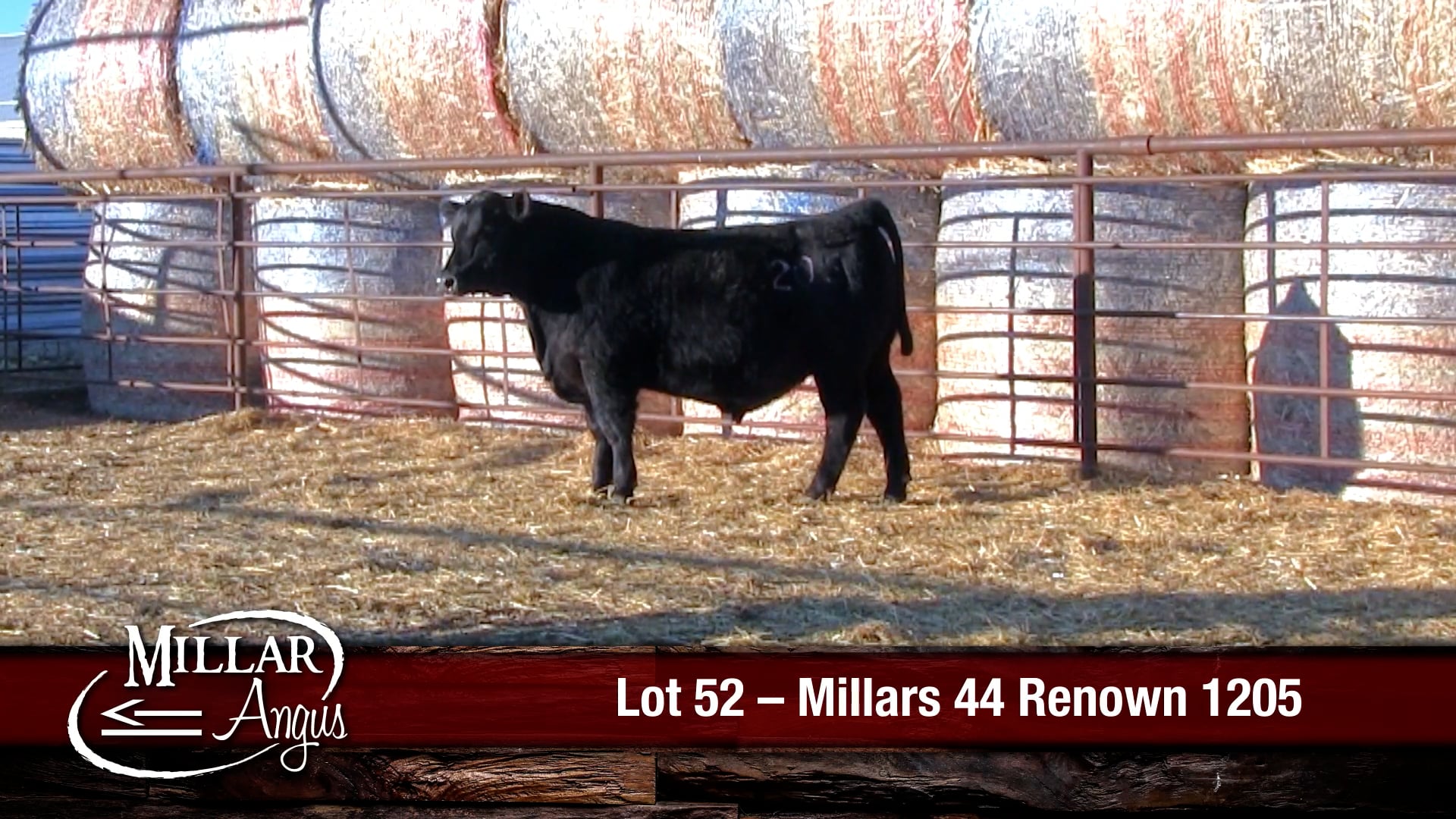 Millar Angus - Lot 52 on Vimeo