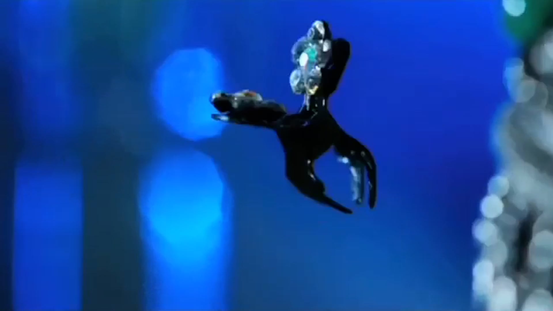 VENUS┃Flytrap on Vimeo