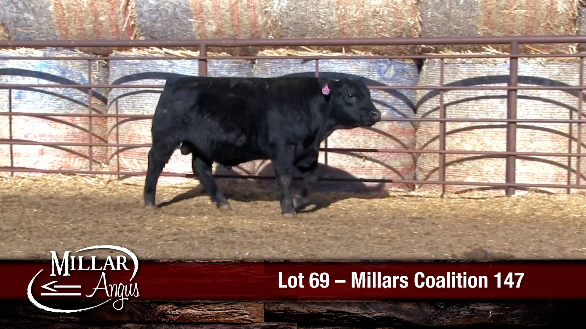 Millar Angus - Lot 69