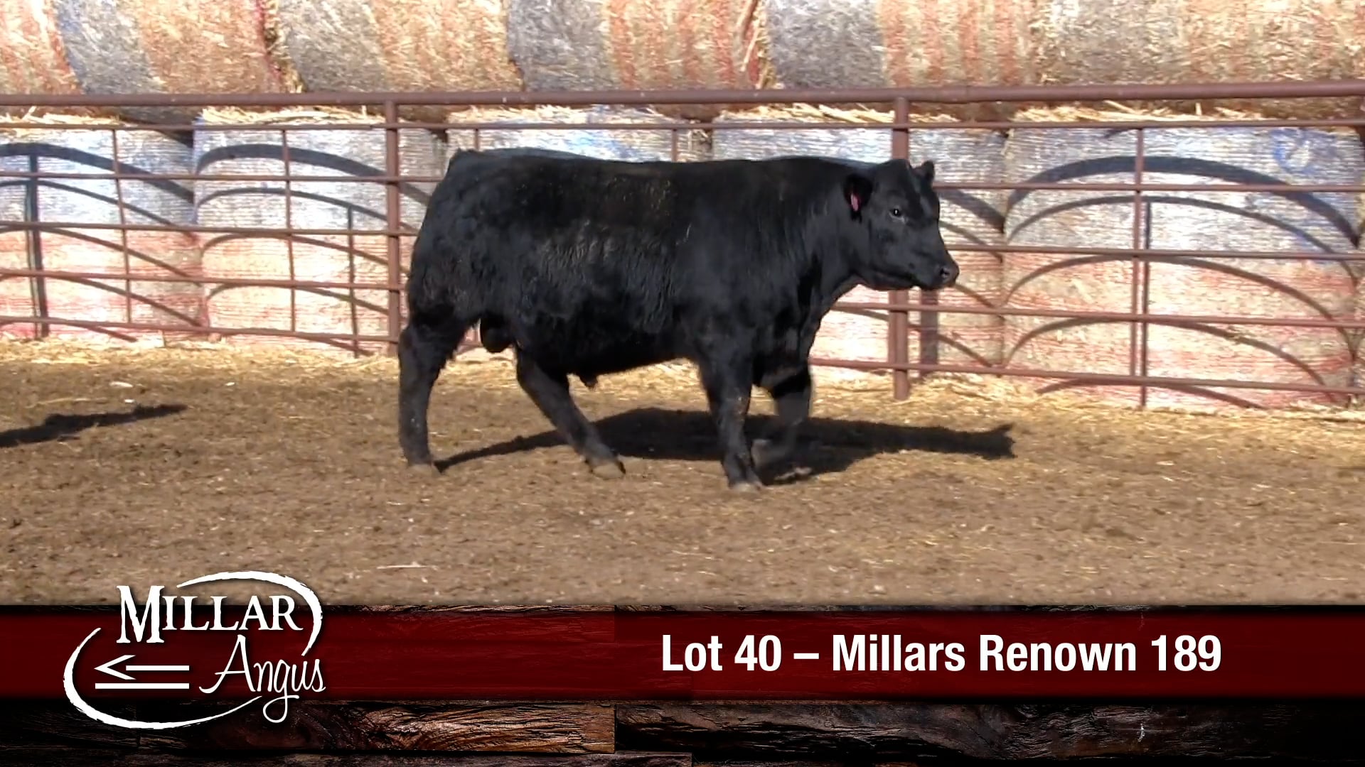 Millar Angus - Lot 40 on Vimeo