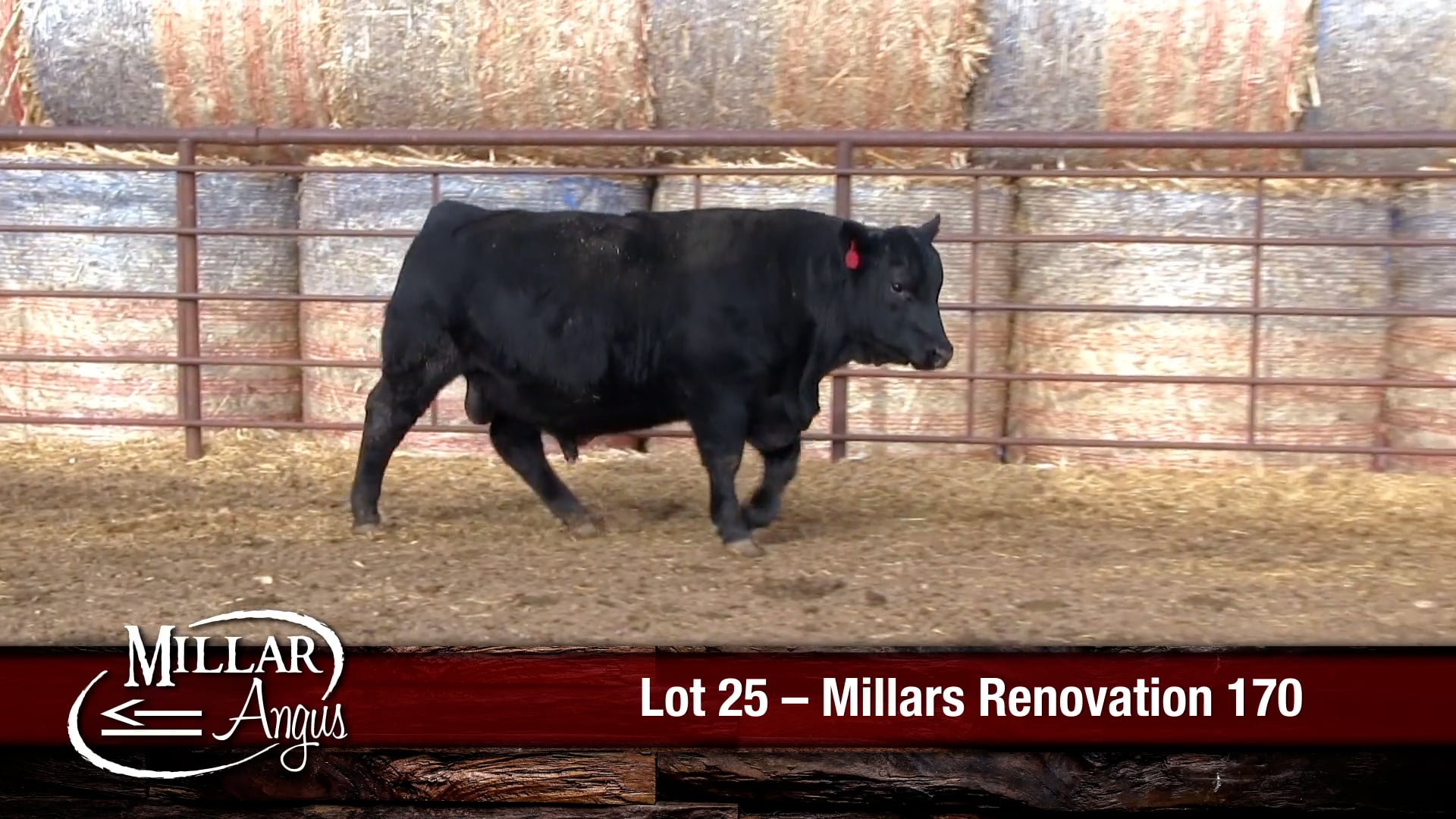 Millar Angus - Lot 25 on Vimeo