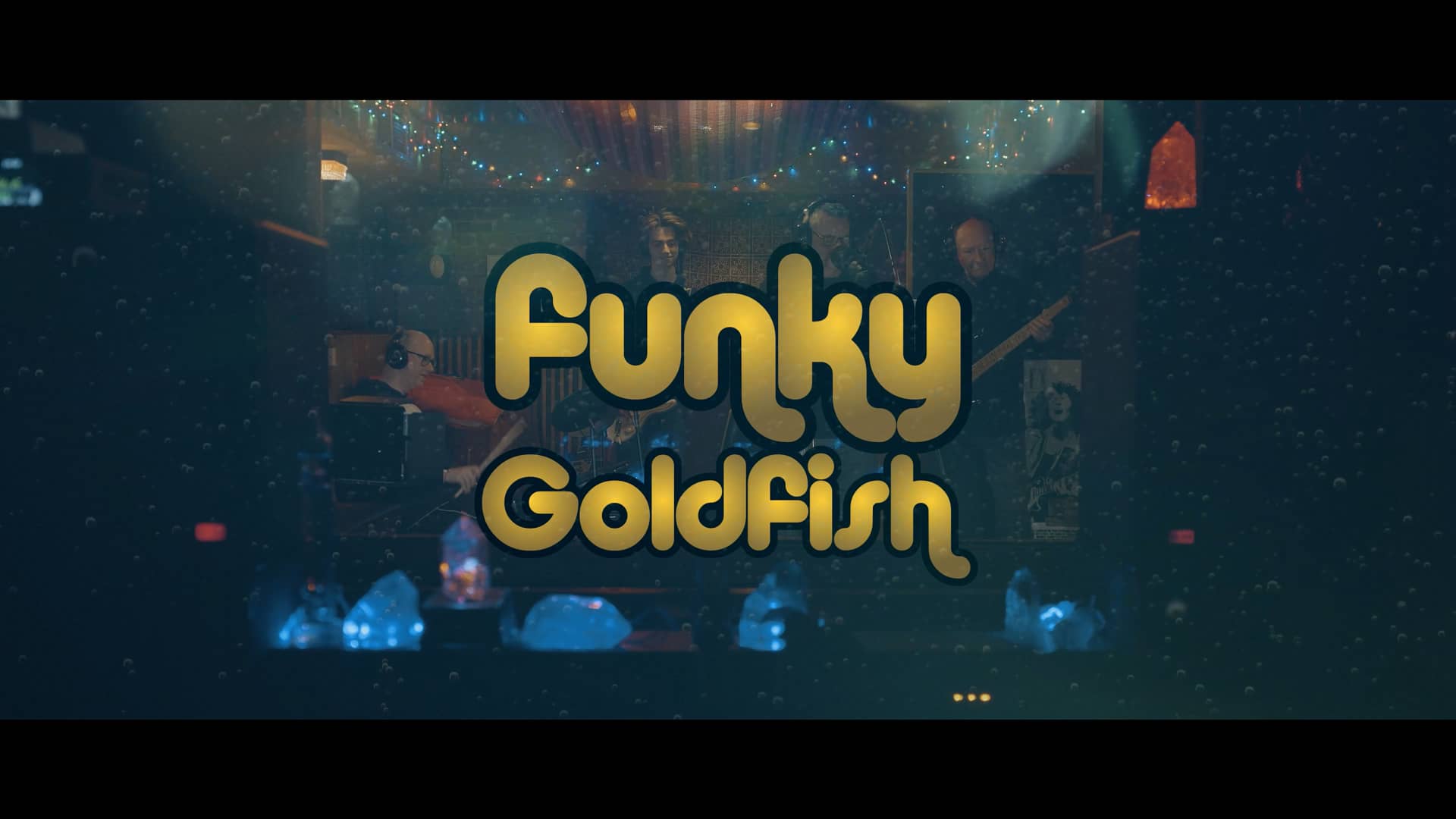 Funky Goldfish.mp4 on Vimeo