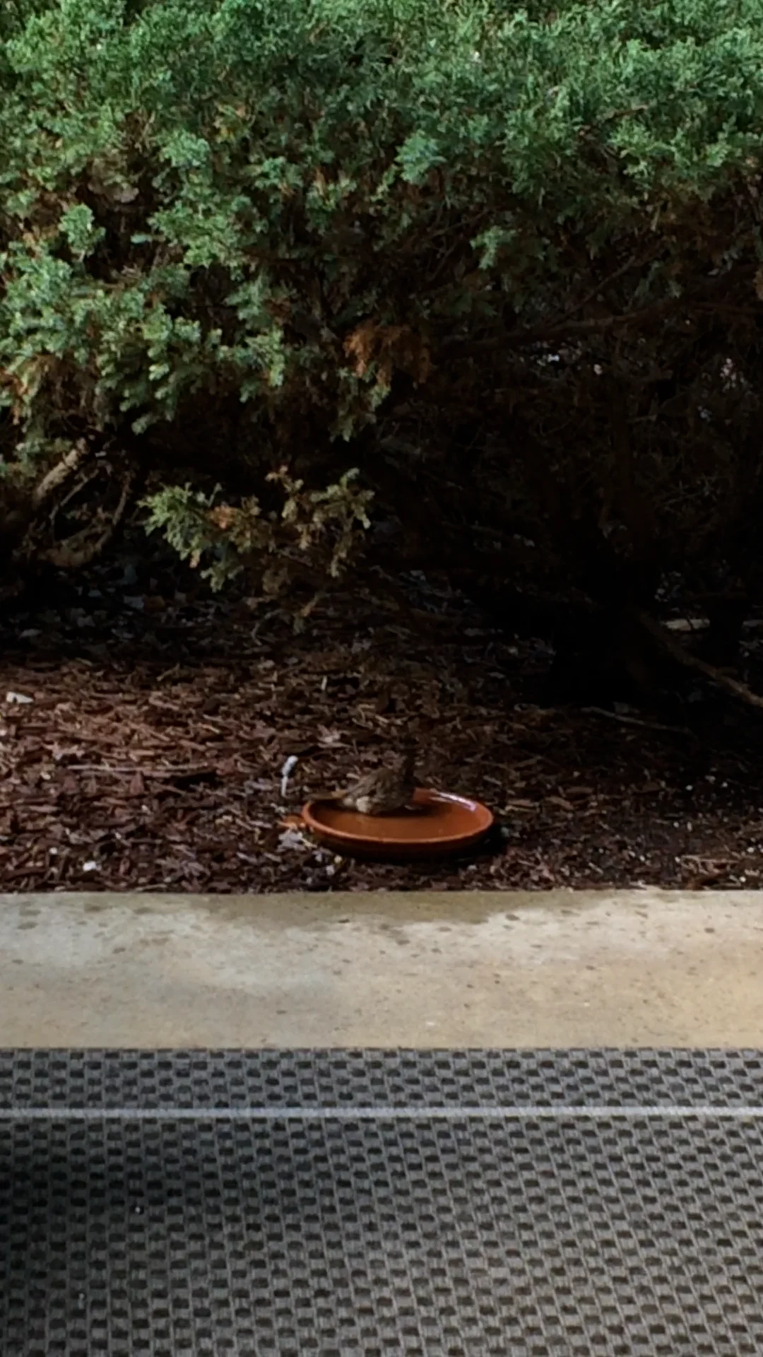 Bath Time on Vimeo