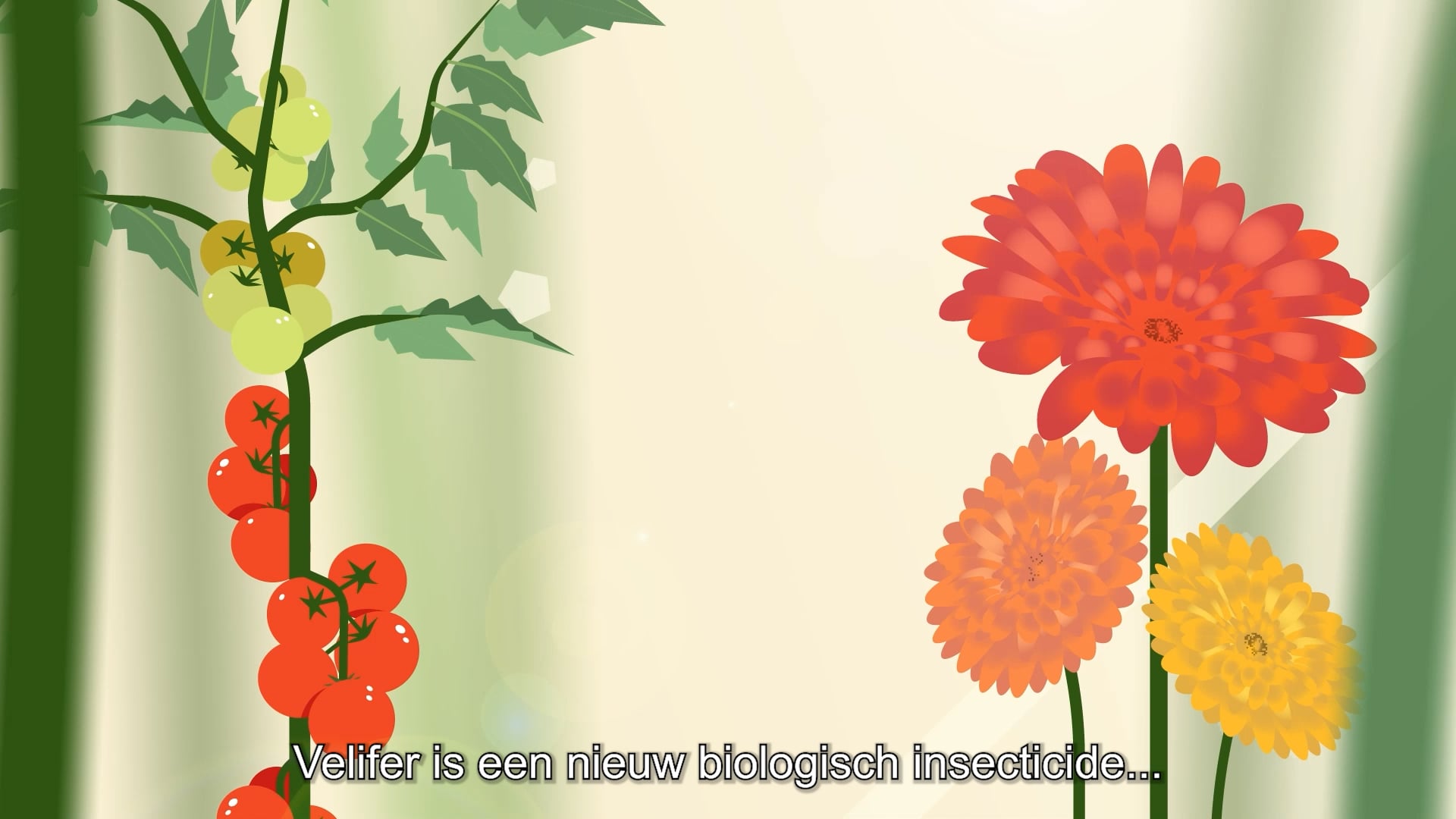 BASF Velifer stopmotion NL subs on Vimeo