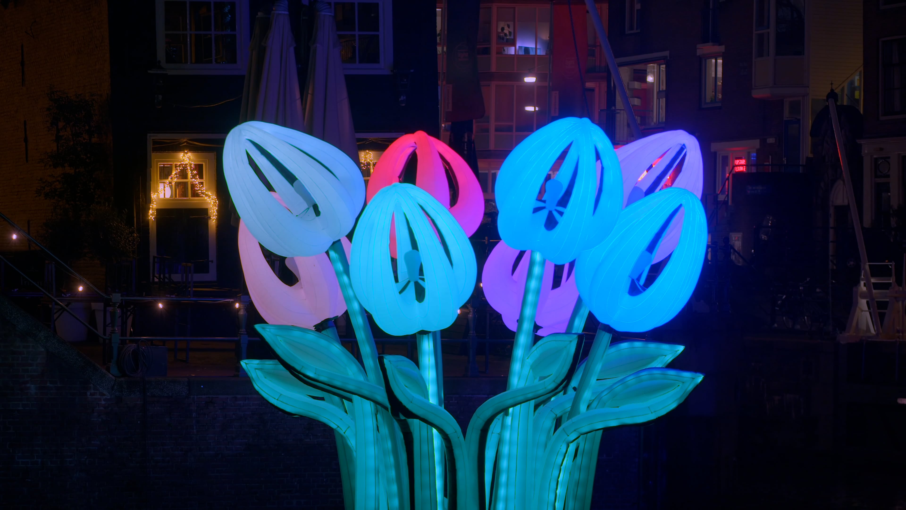 Bunch of Tulips by Peter Koros on Vimeo