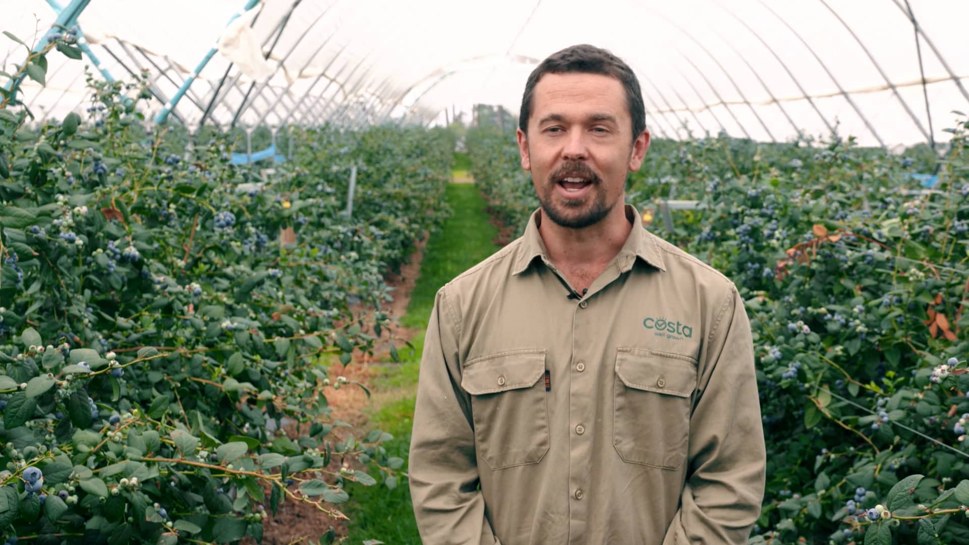 Brad Hocking on Vimeo