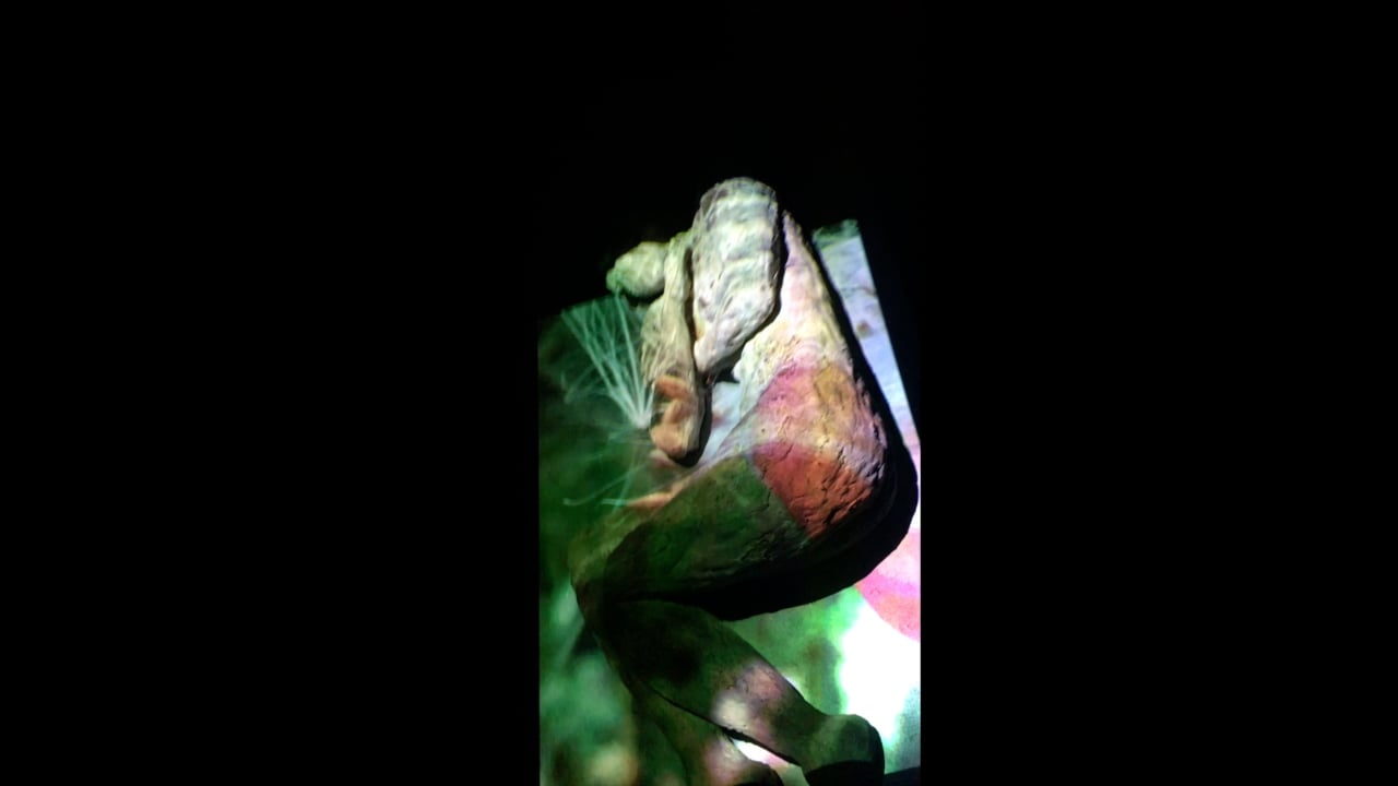 Ruth Lennon 5 works on Vimeo