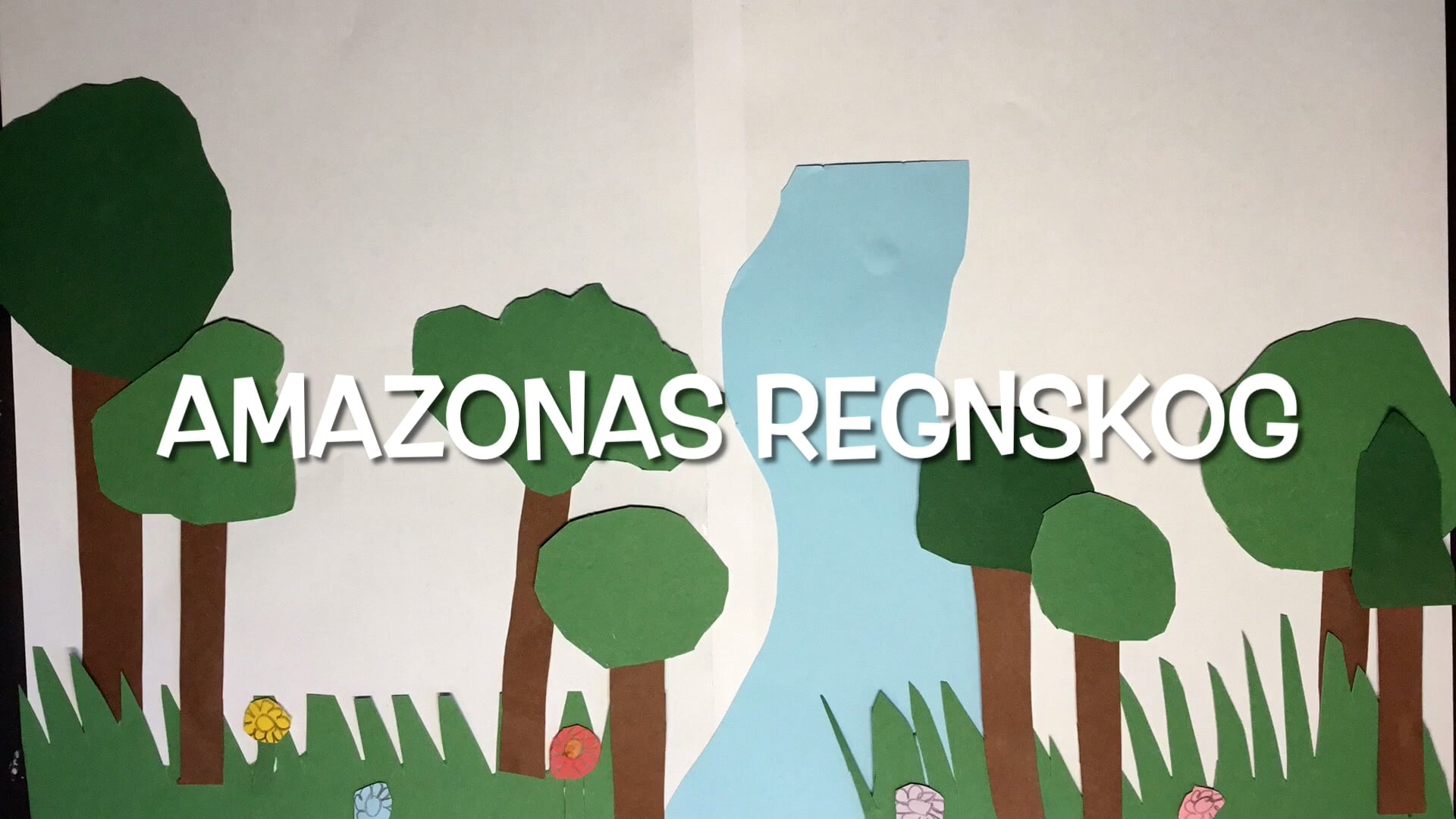 Amazonas regnskog - Källskolan 3B on Vimeo