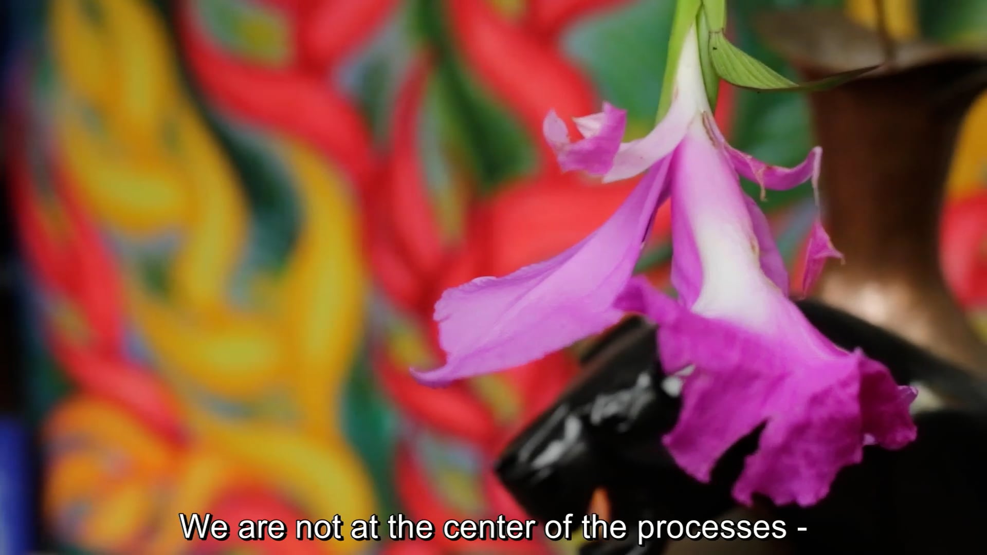 Buen Vivir – a guiding principle of indigenous cultures in Mexico on Vimeo