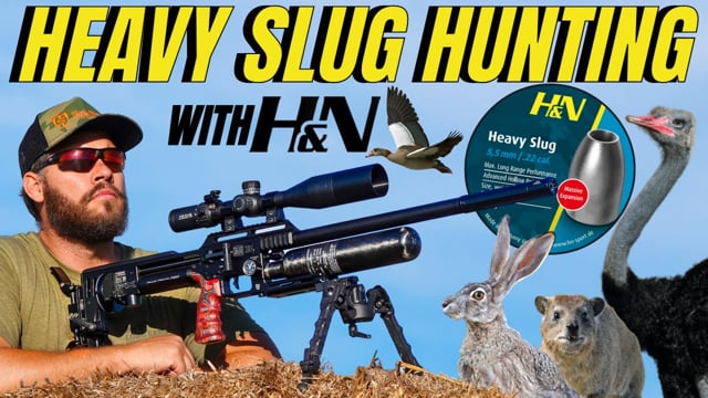 AIR GUN HUNTING WITH H+N HEAVY SLUGS I LONG RANGE AIRGUN HUNTNG I H+N ...