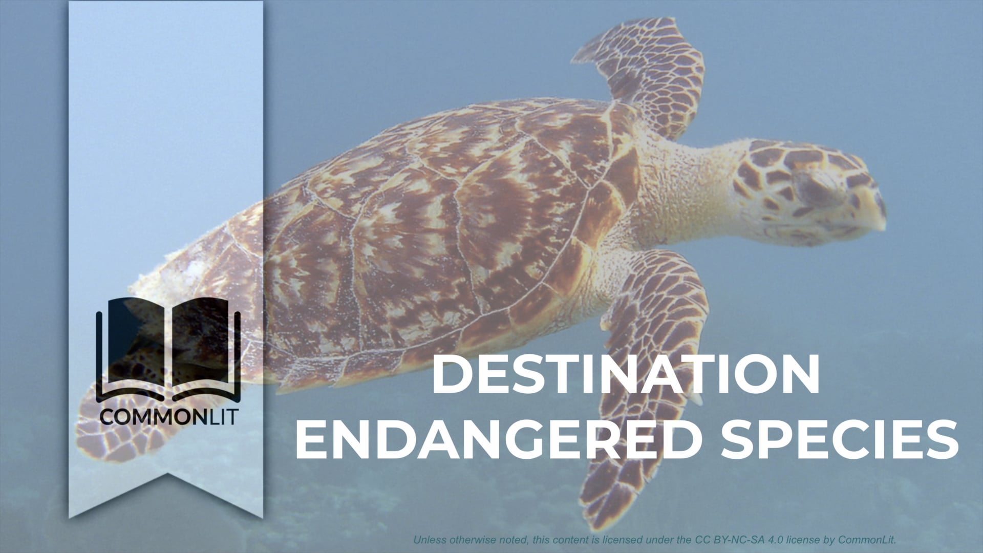 Target Lesson: Destination Endangered Species