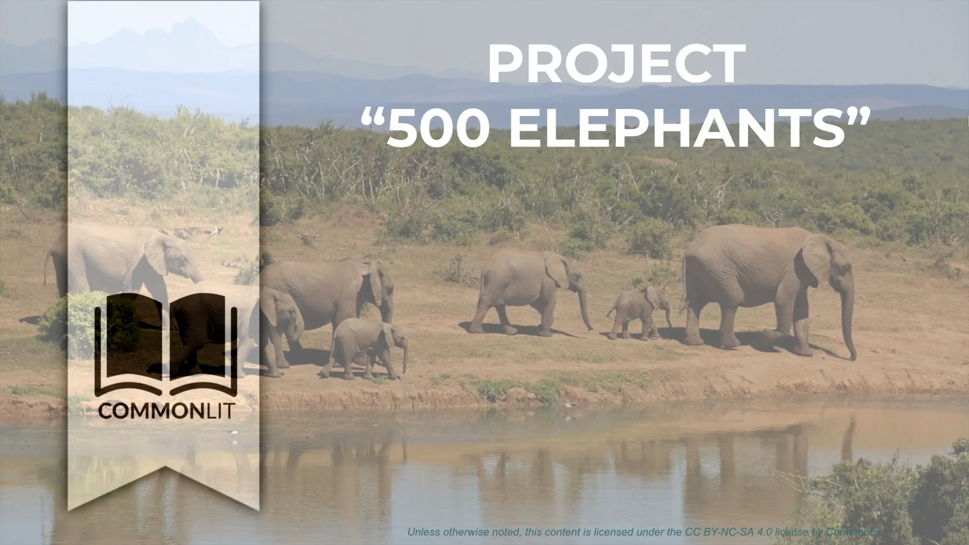 Target Lesson: Project "500 Elephants" on Vimeo