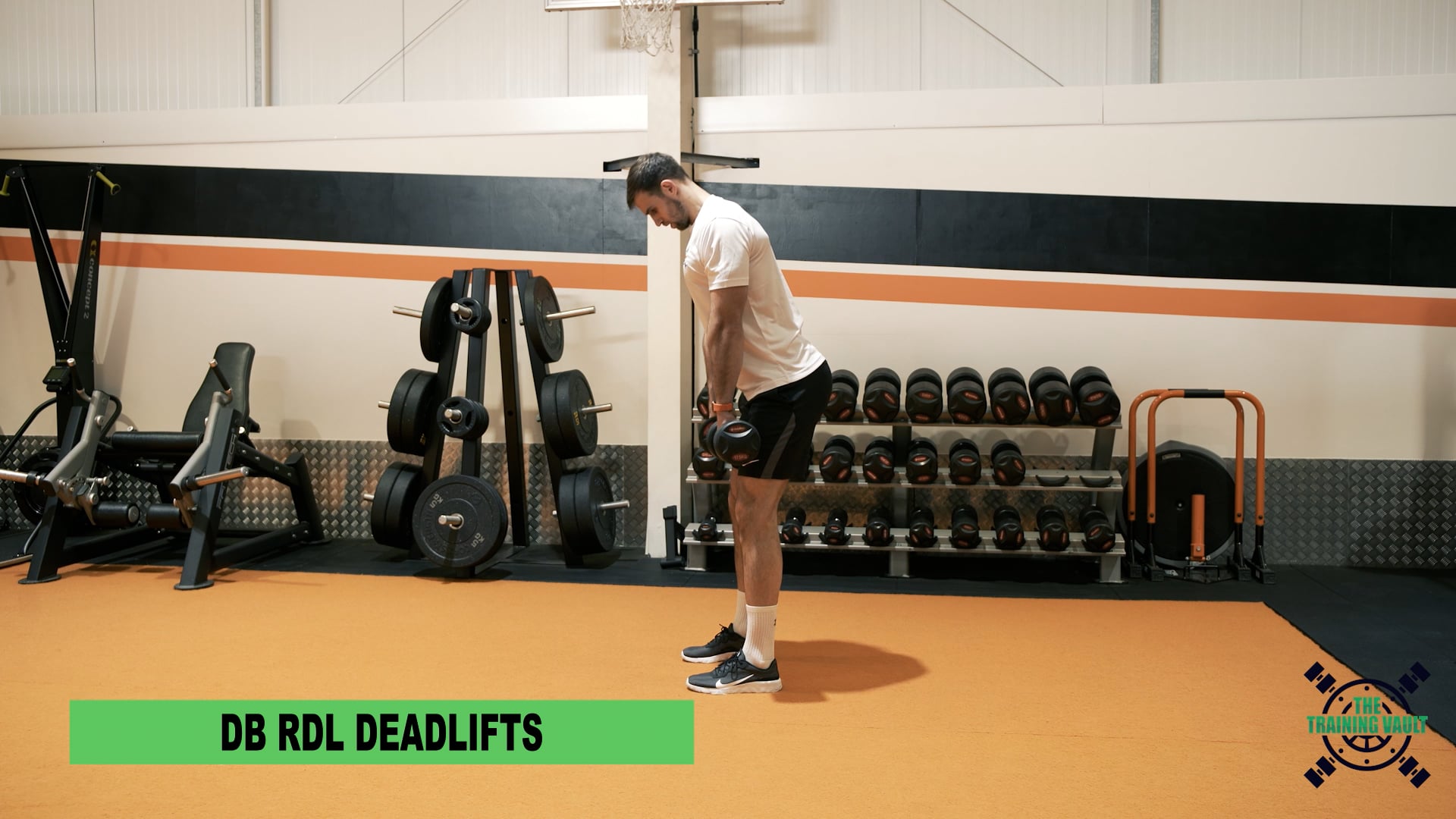 DB RDL Deadlift.mp4 on Vimeo
