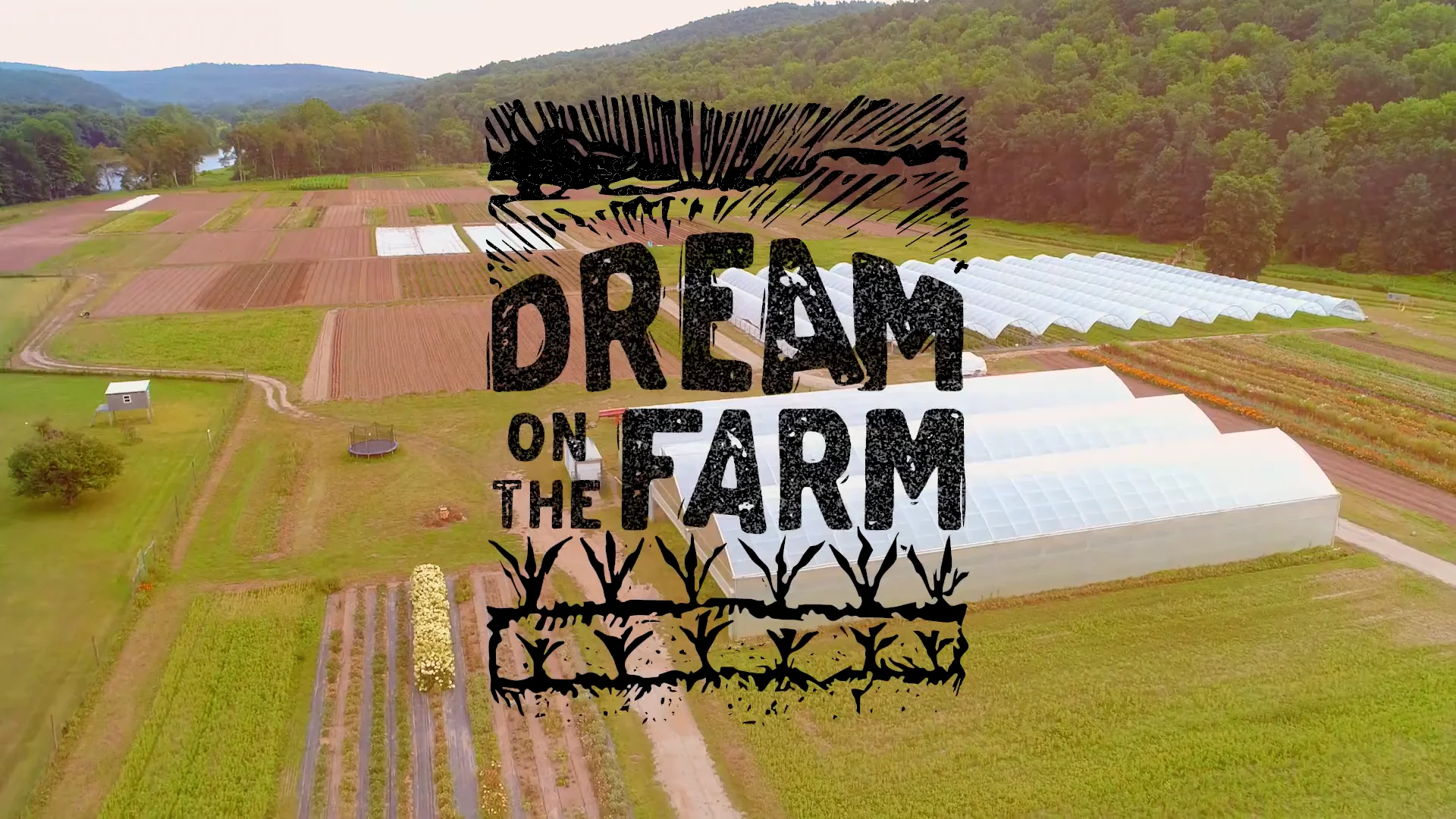 Dream on the Farm 2021 "The Scientists" Trailer