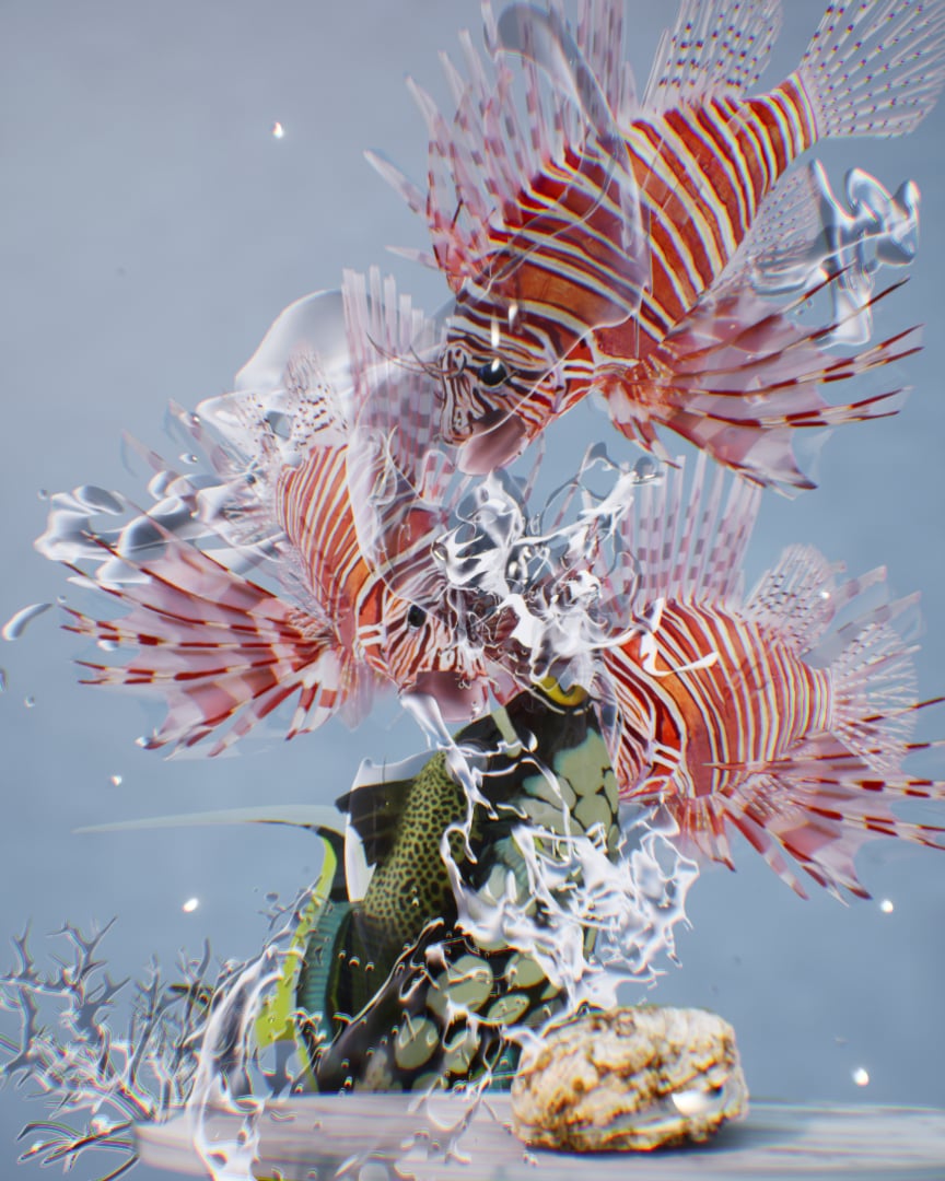 fish_01 on Vimeo