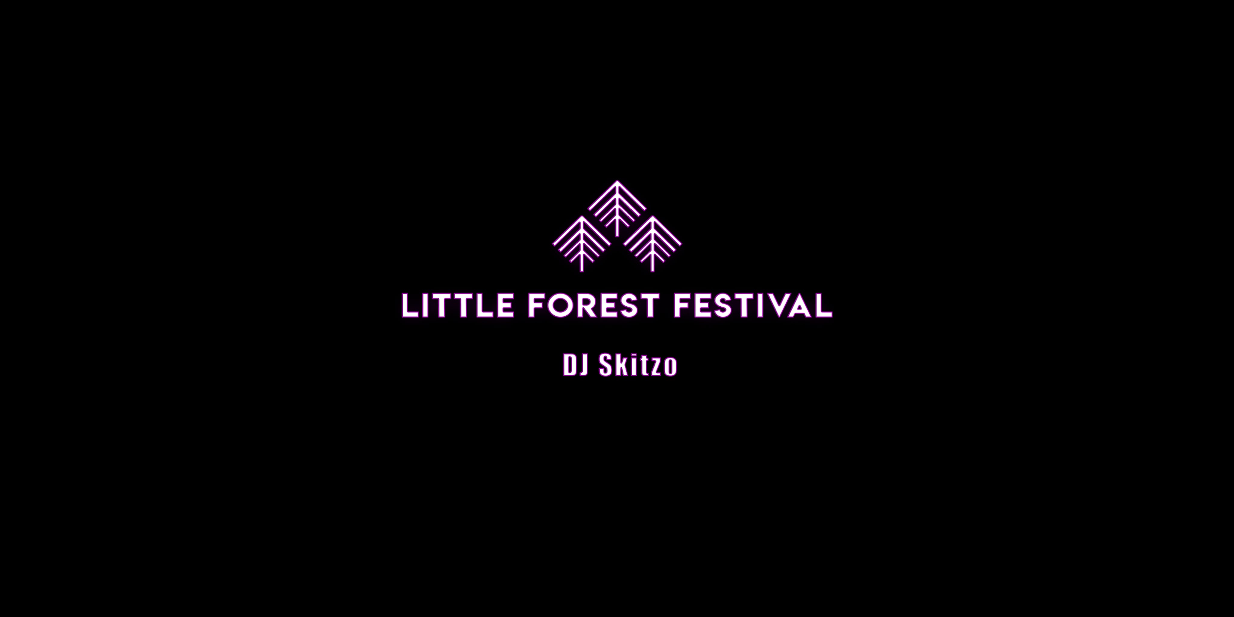 Little_Forest_Festival_DJ Skitzo_VR360_Headset.mp4 on Vimeo