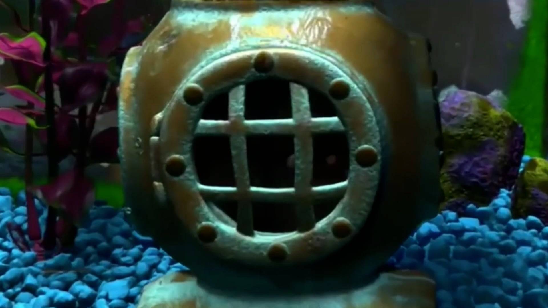 Finding Nemo Darla Scene on Vimeo