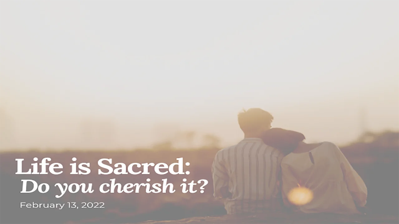 Life Is Sacred: Do You Cherish It? on Vimeo