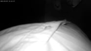 Hide 2 6 22 1045 12 On Vimeo