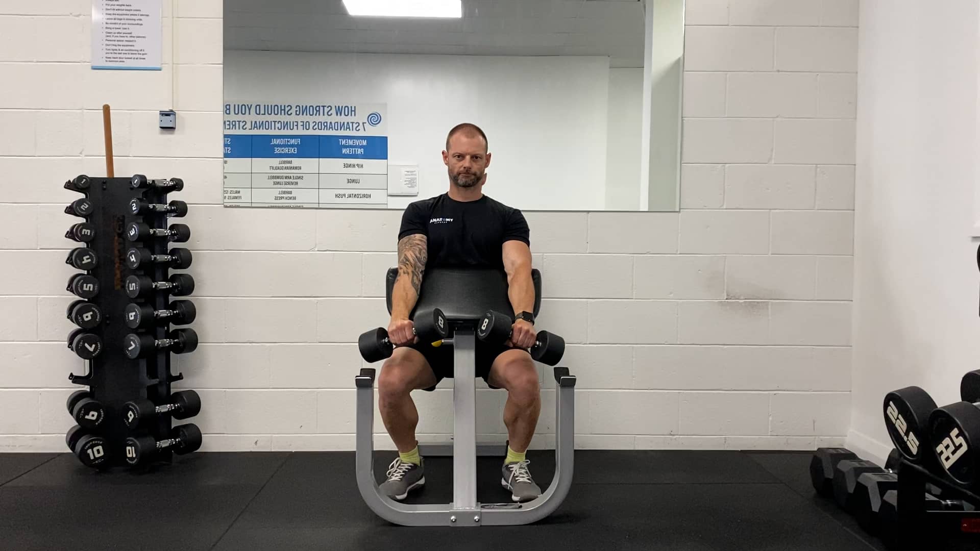 B1 – Biceps Curl Scott Seated DB Pronated Grip on Vimeo