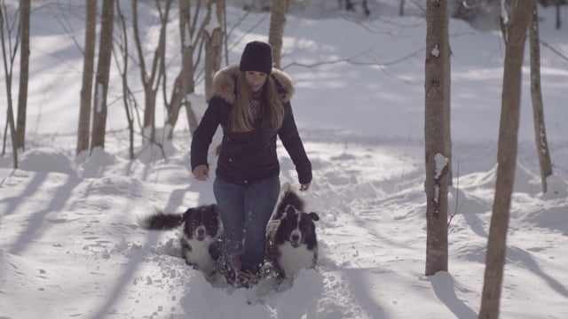 Purina Samples on Vimeo