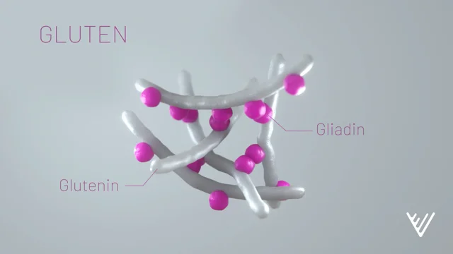 Gliadin Structure