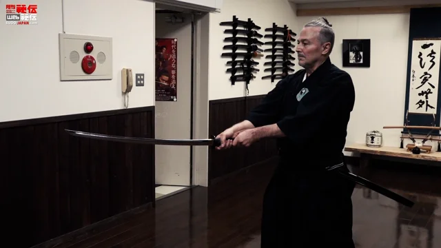 Iaido Master