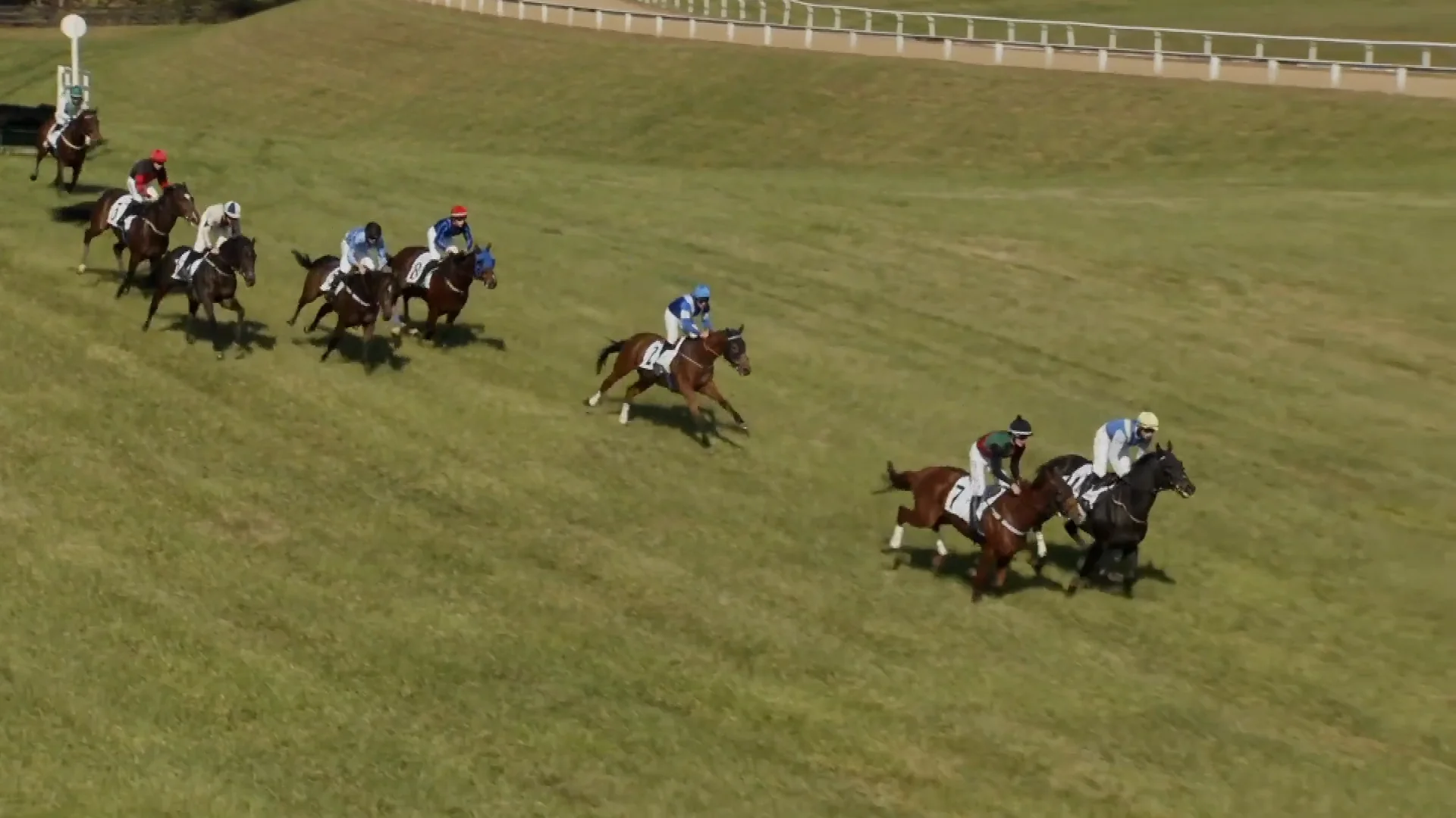 2021 Montpelier Hunt Races - 2021 Montpelier Race 3 on Vimeo