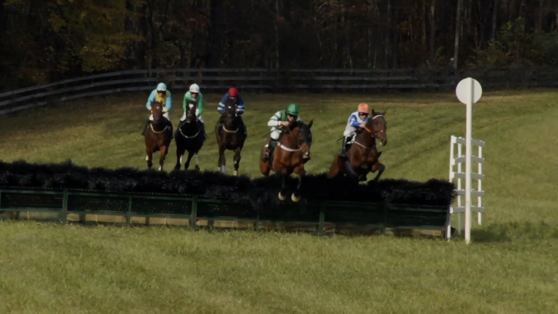 2021 Montpelier Hunt Races - 2021 Montpelier Race 5 on Vimeo