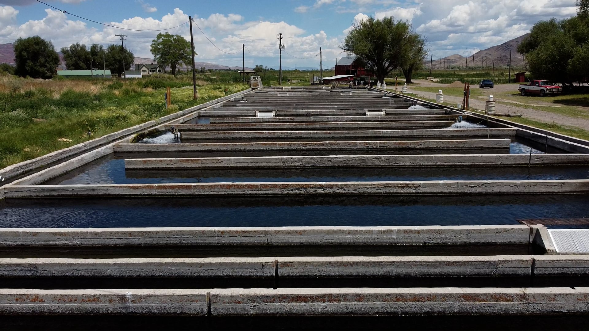 Natura Solve - Environmental, Bioremediation, Remediation