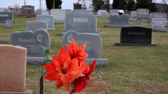 Cemetery, Manassas, Flower. Free Stock Video - Pixabay