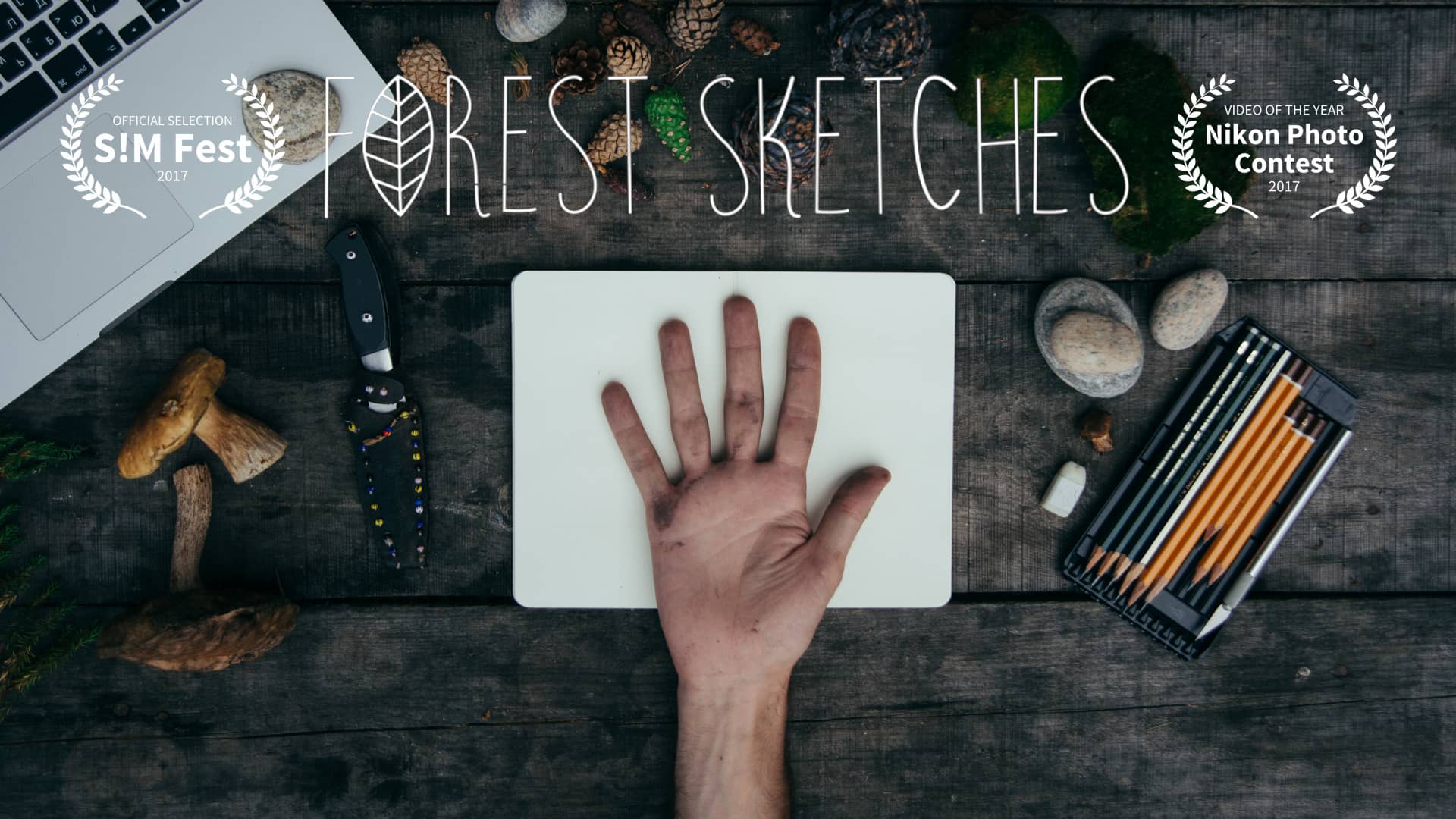 Forest Sketches | Stop Motion Animation on Vimeo