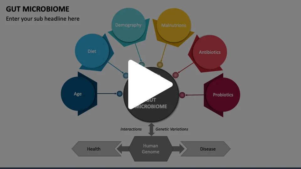 Gut Microbiome Animated Presentation - SketchBubble on Vimeo