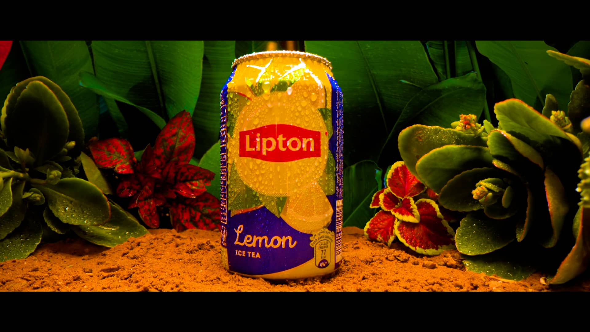 LIPTON Demo Commercial on Vimeo