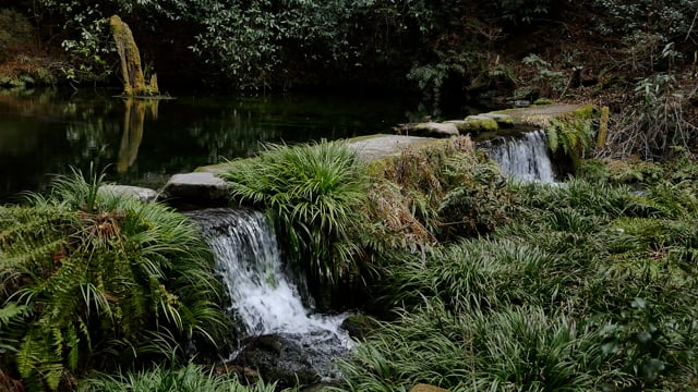 River Water Source Spring - Free video on Pixabay